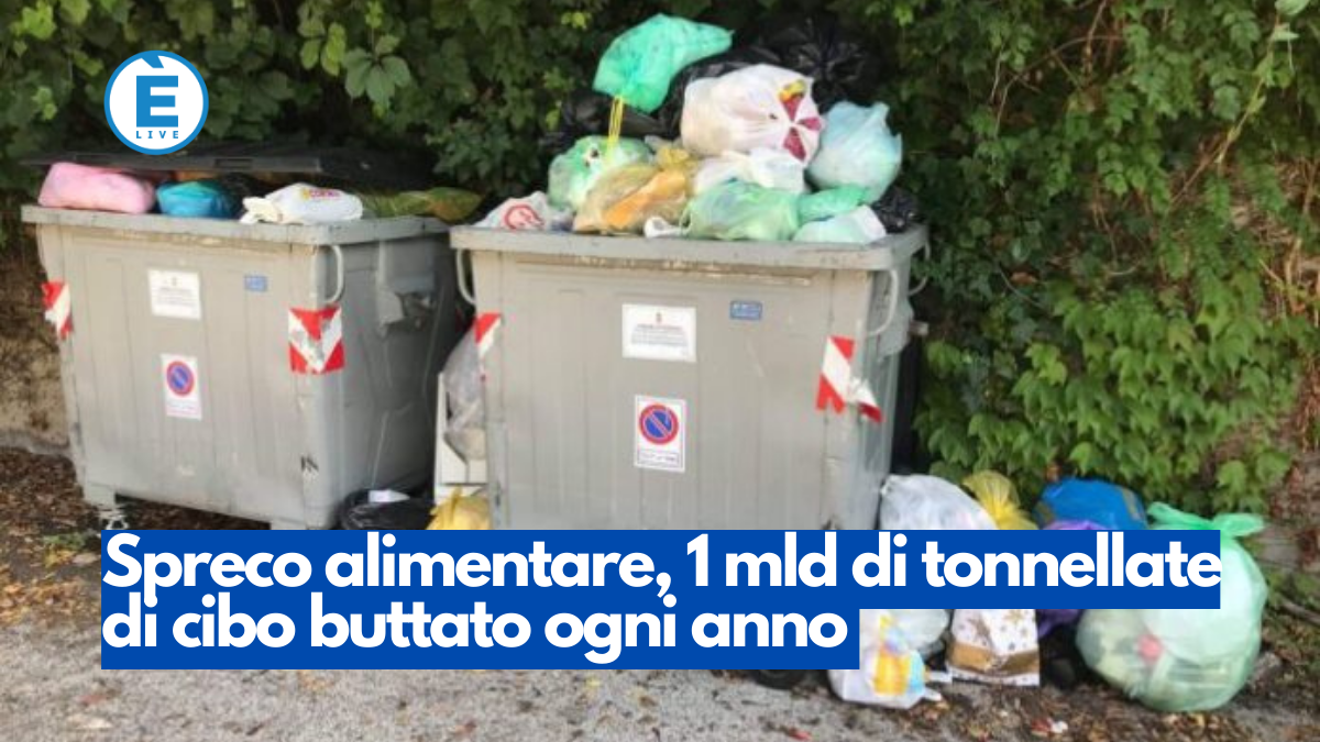 Spreco alimentare, 1 mld di tonnellate di cibo buttato ogni anno ...
